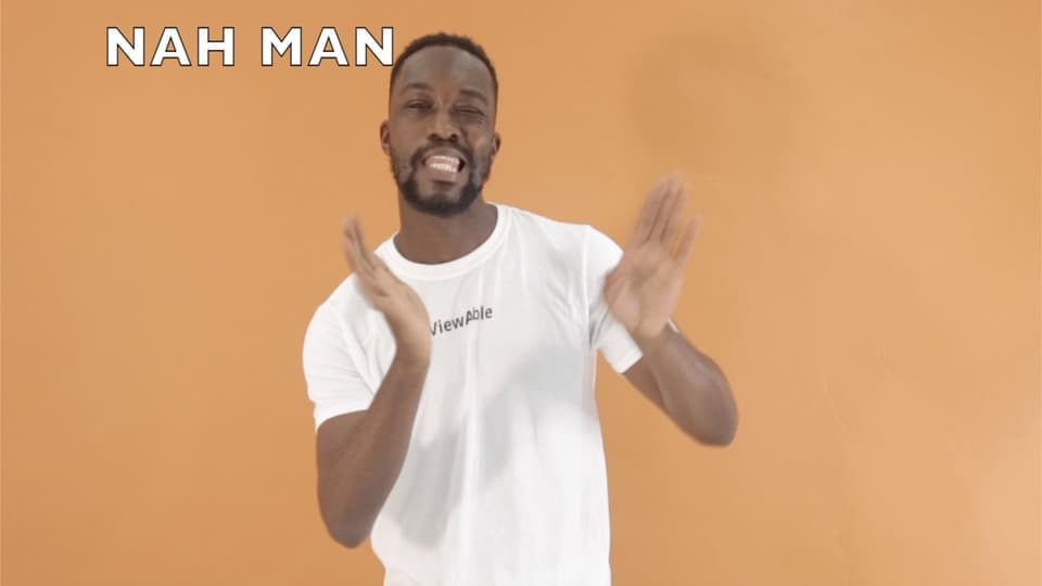 ViewAble | More Accessible for Everyone | SignSlang